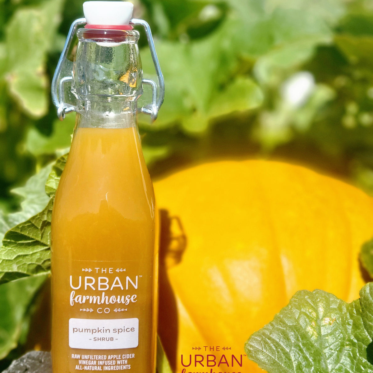 Seasonal Organic Shrubs – Limited Batch Infused Drinking Vinegars – The ...